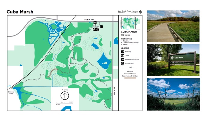 cubamarsh | Adult Children of Alcoholics